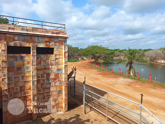 Reabren el Zoológico de Animaya en Mérida – InformatYucatán